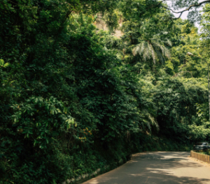 ENGIS OFFICIAL – Engis land system